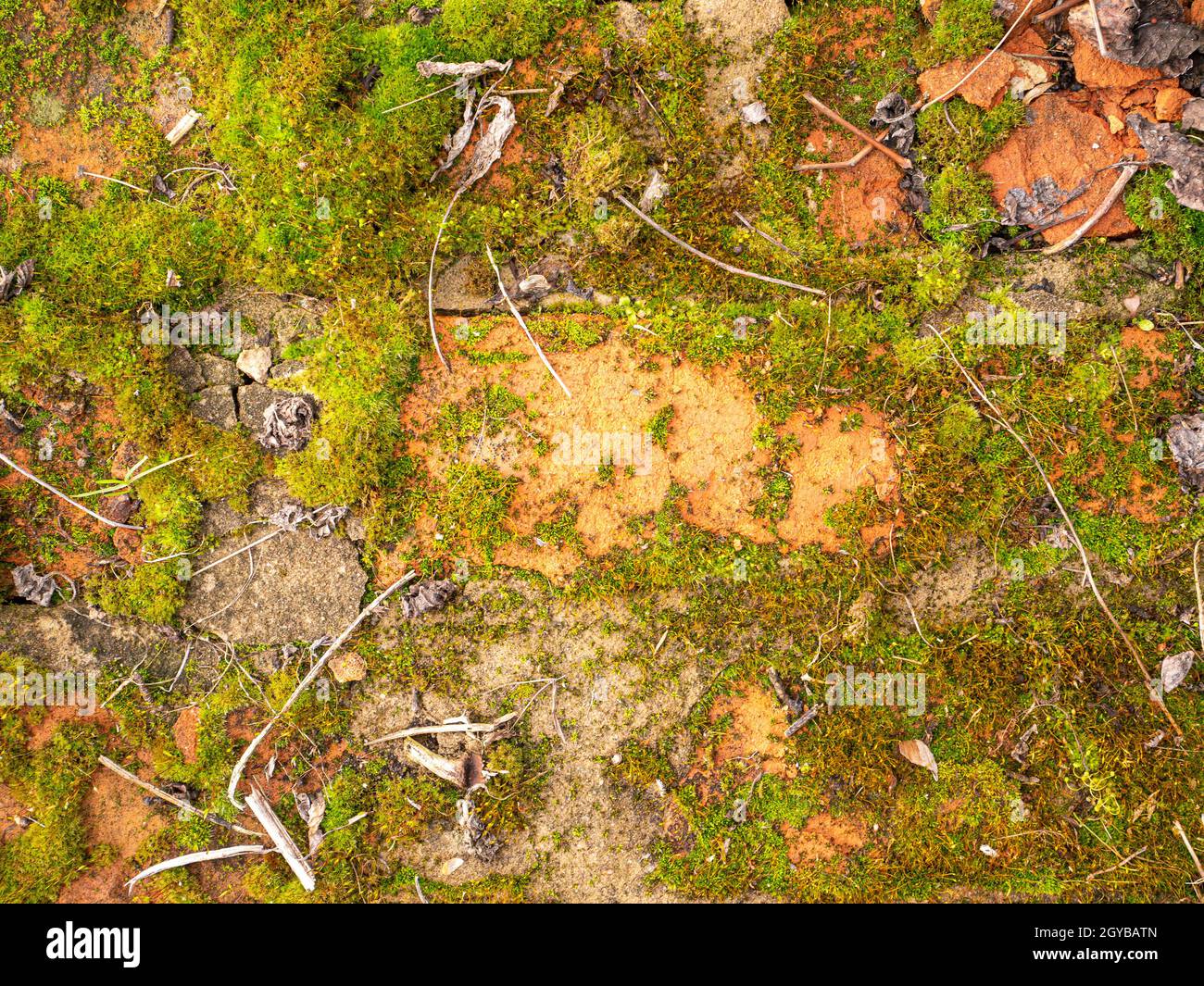 Makassar indonesia art hi-res stock photography and images - Alamy