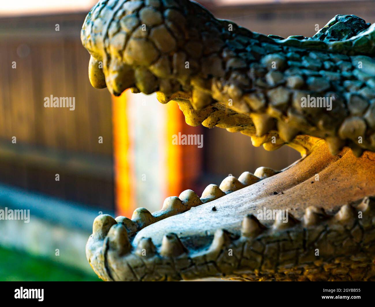 Open toothy mouth of a wild animal crocodile. Animals in the wild ...