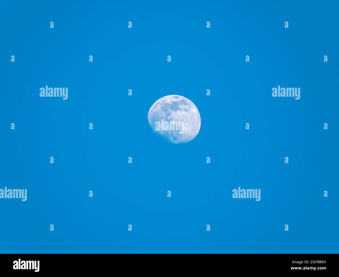 The moon against the evening blue sky. Space. Satellite of the planet ...