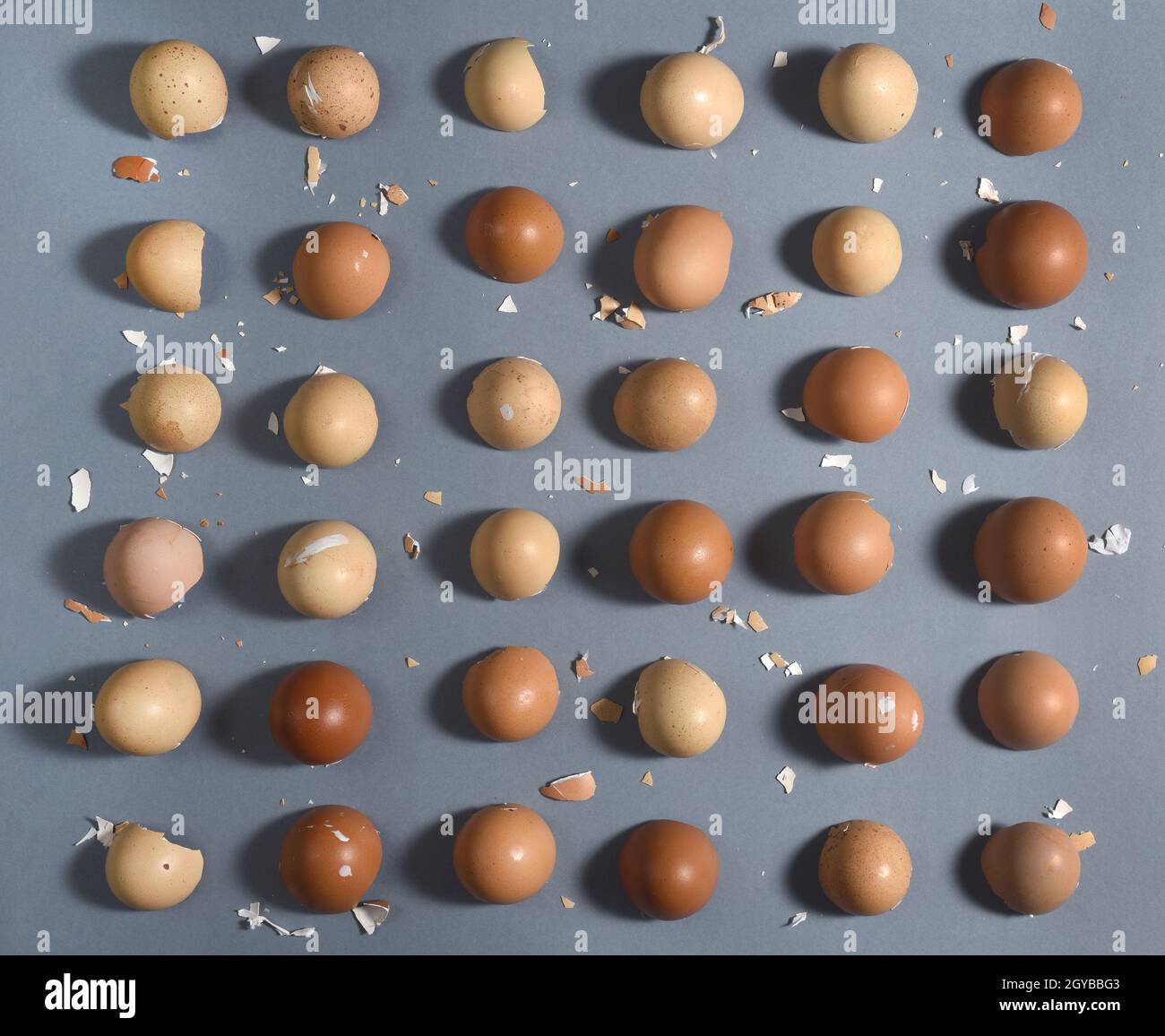 top view of eggshells in row upside down on gray background Stock Photo ...