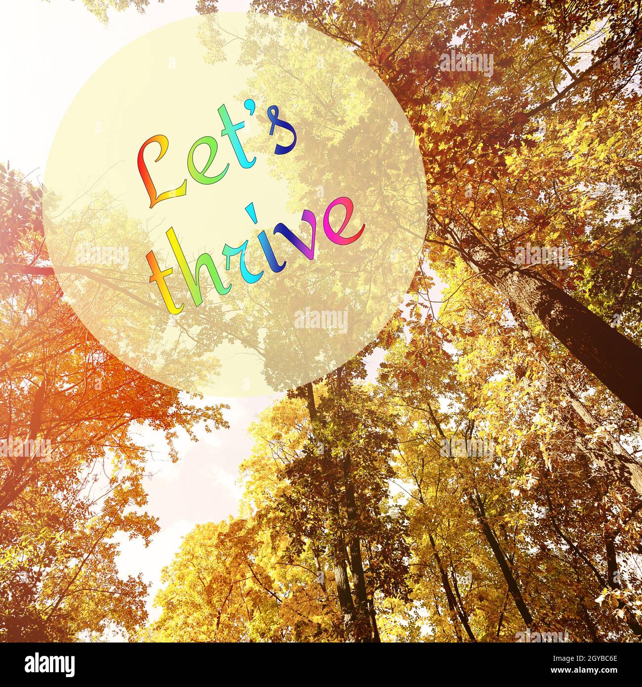 Text Let's thrive with a backdrop of bright yellow fall foliage Stock ...