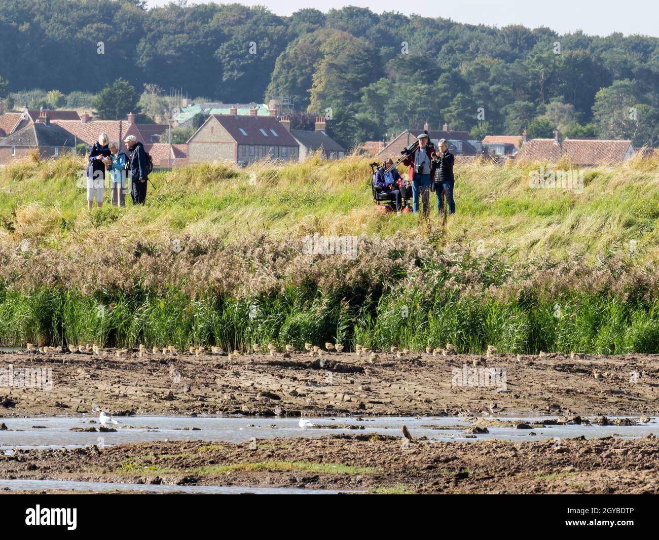 Birdwatchers including a disabled woman watching a flock of European ...