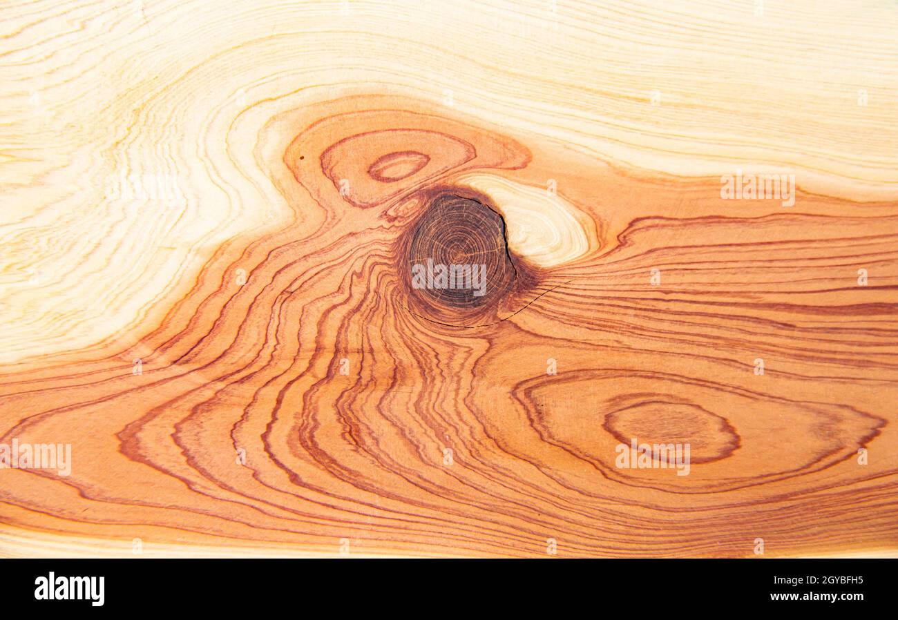 Longitudinal crack hi-res stock photography and images - Alamy