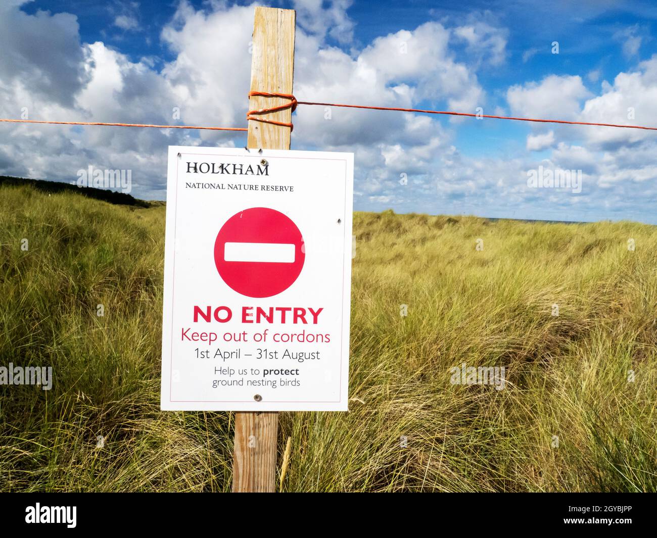 Ground nesting birds hi-res stock photography and images - Alamy