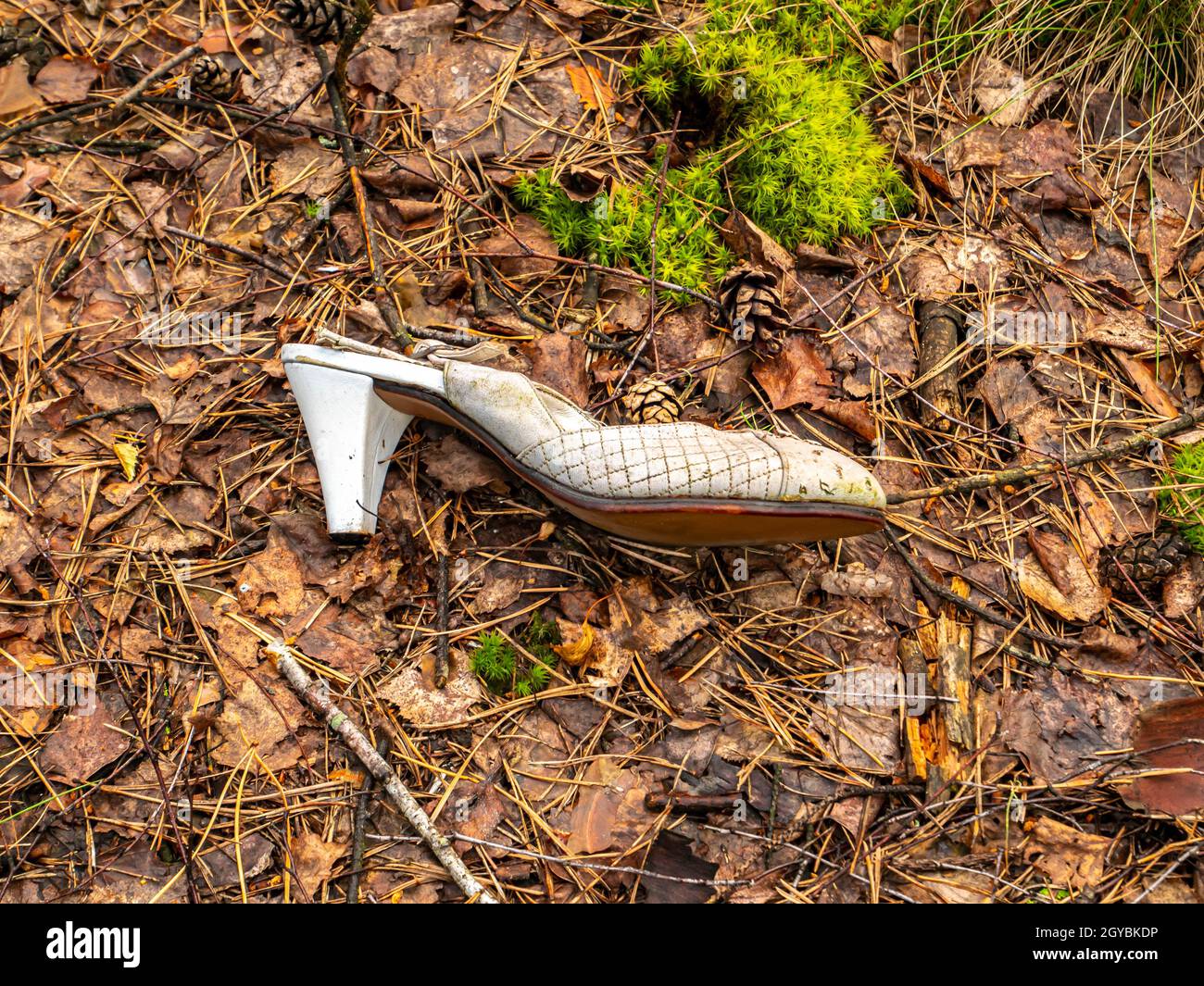 Old women shoes with heels are scattered on the ground in the forest ...