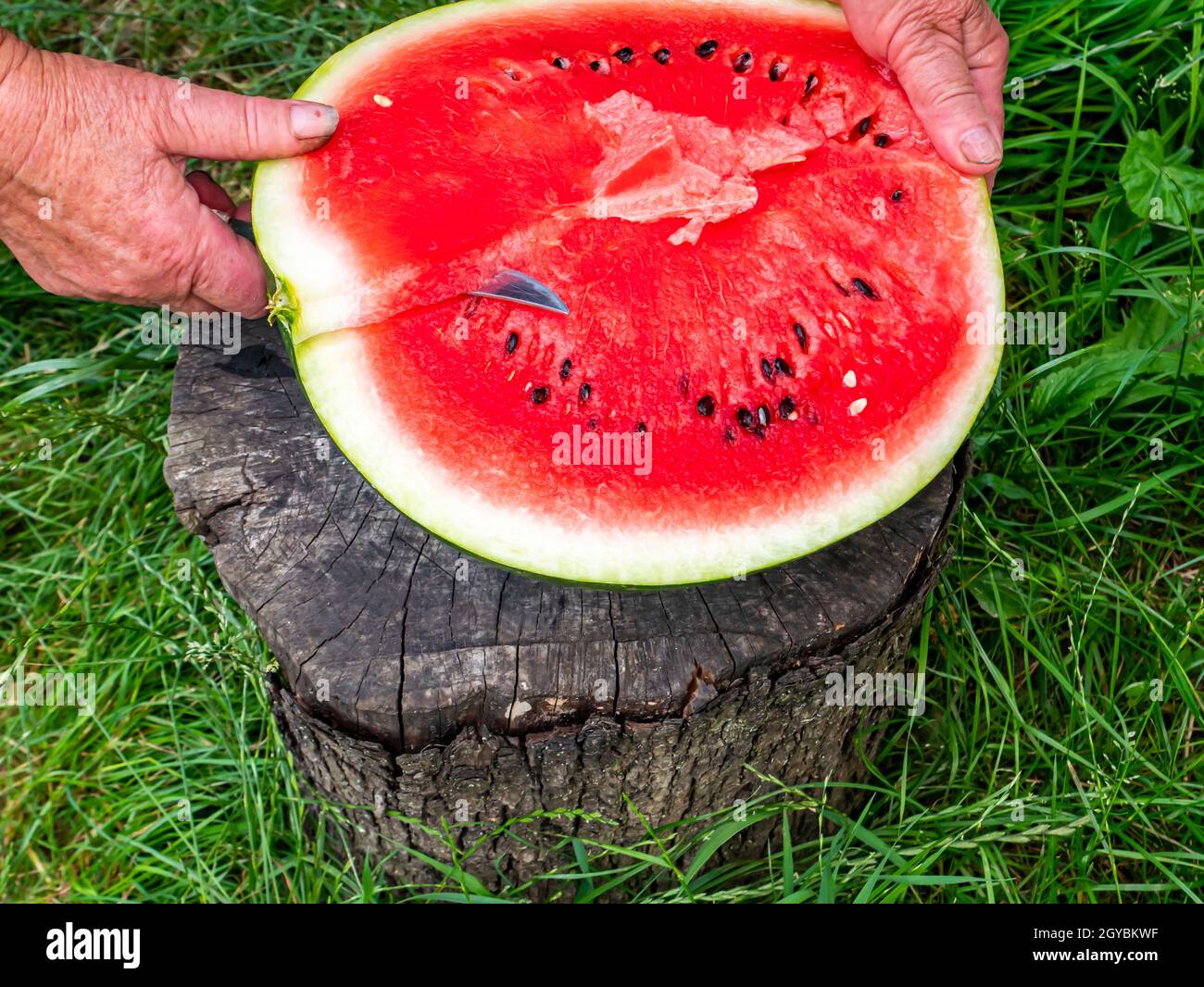 A red watermelon is cut with a knife. Berry. Food photo. Place for your ...