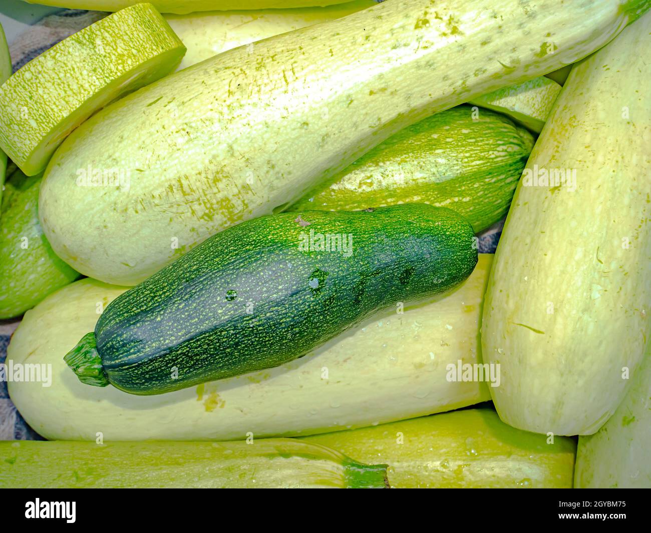 Harvest of green squash vegetables in a heap. Food photo. Agriculture ...