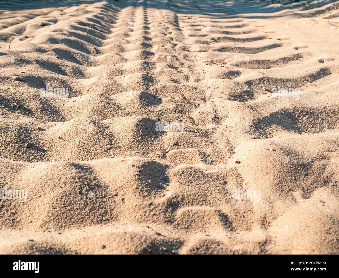 Car wheel tread trace on the sand. Freight road transport. Ride an all ...