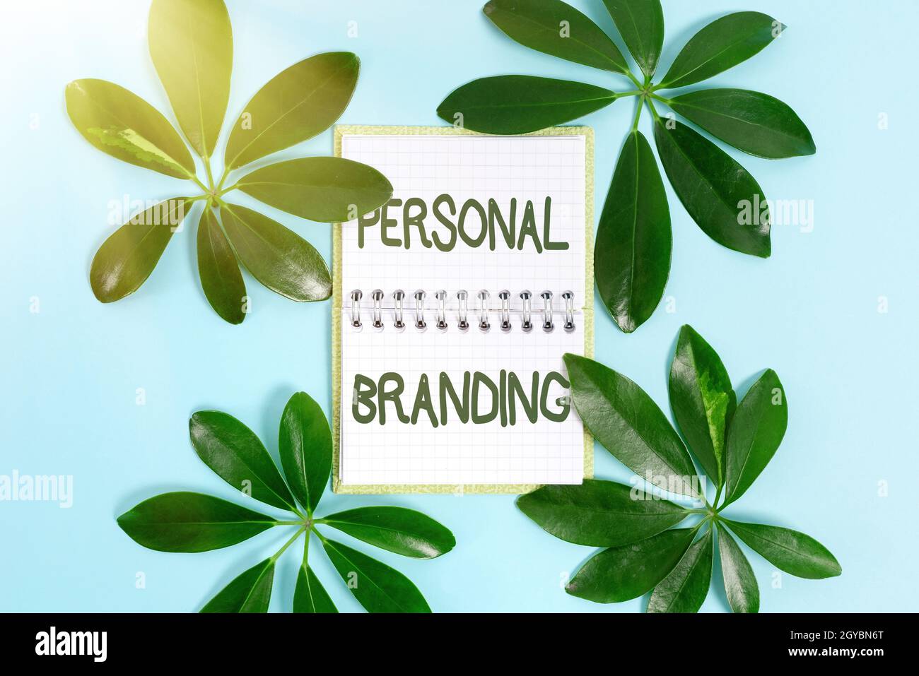 Text sign showing Personal Branding, Business showcase process of creating a recognizable ...