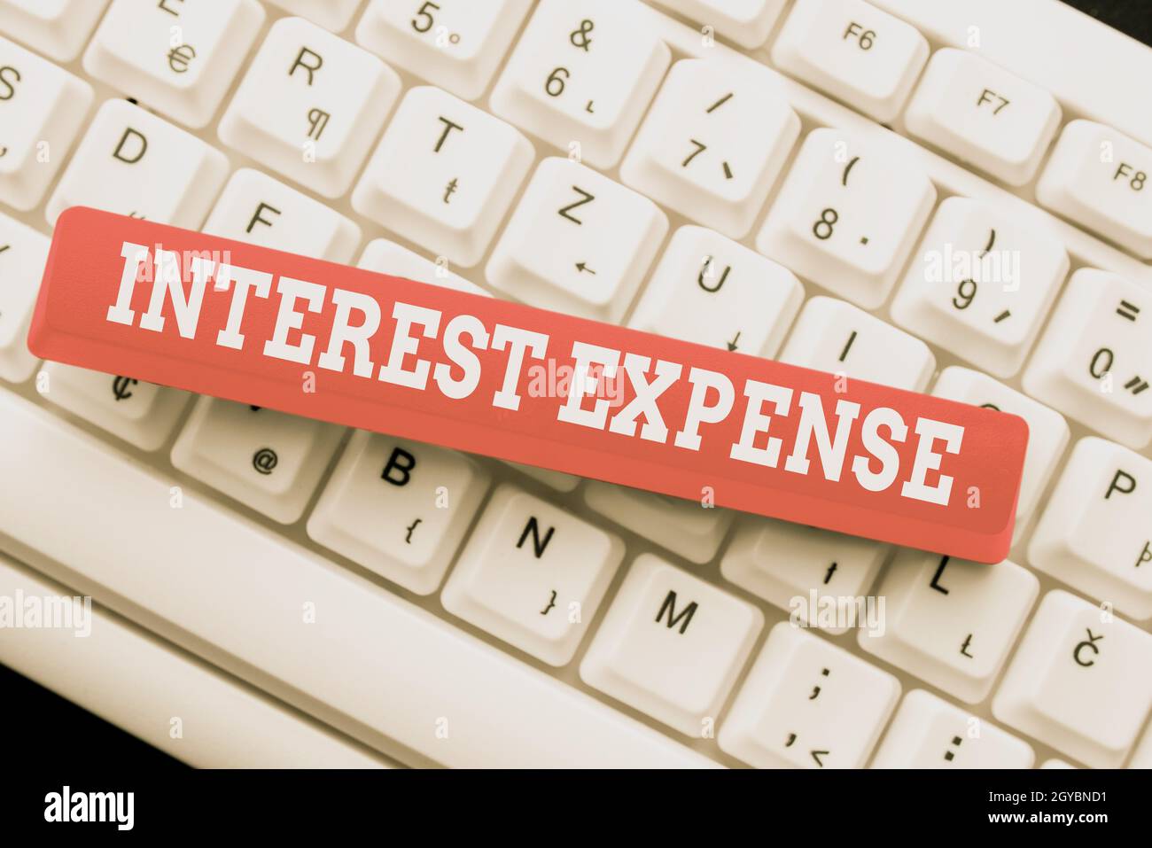 Investment return statement interest hi-res stock photography and ...