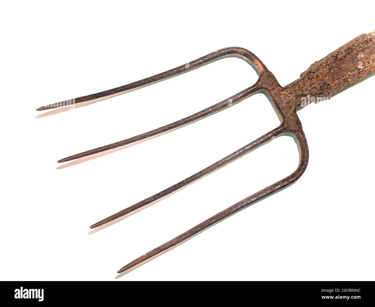 Iron pitchfork hand tools in agriculture. Agricultural activities ...