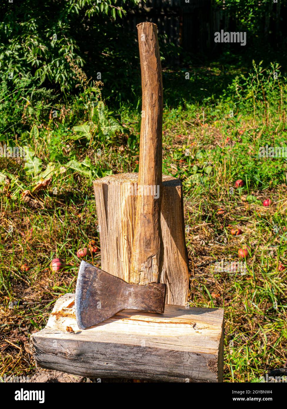 Chopping wood with an iron ax with a wooden handle. Hand tool ax ...