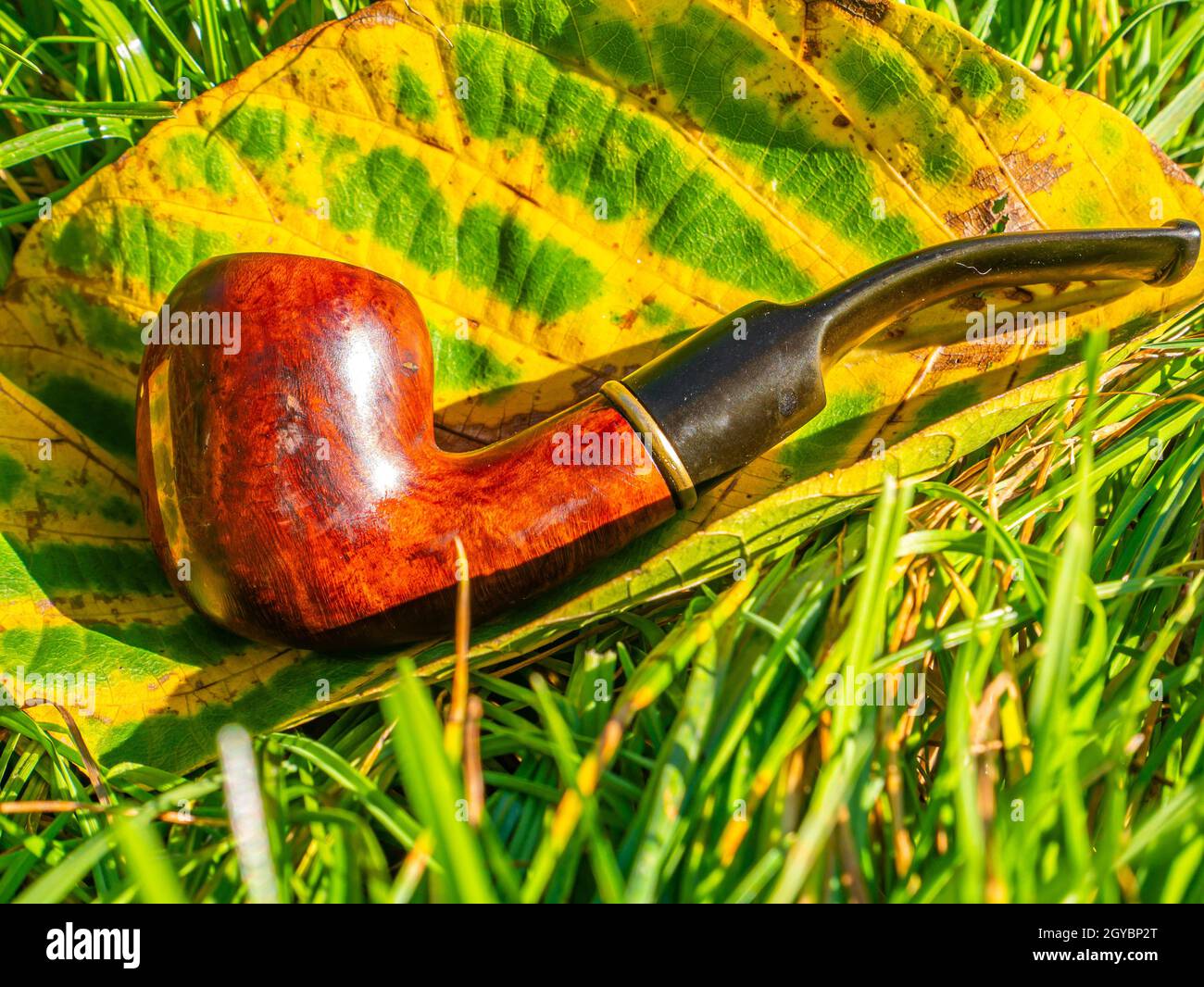 Wooden smoking pipe for tobacco and autumn leaf. Pipe for smoking ...