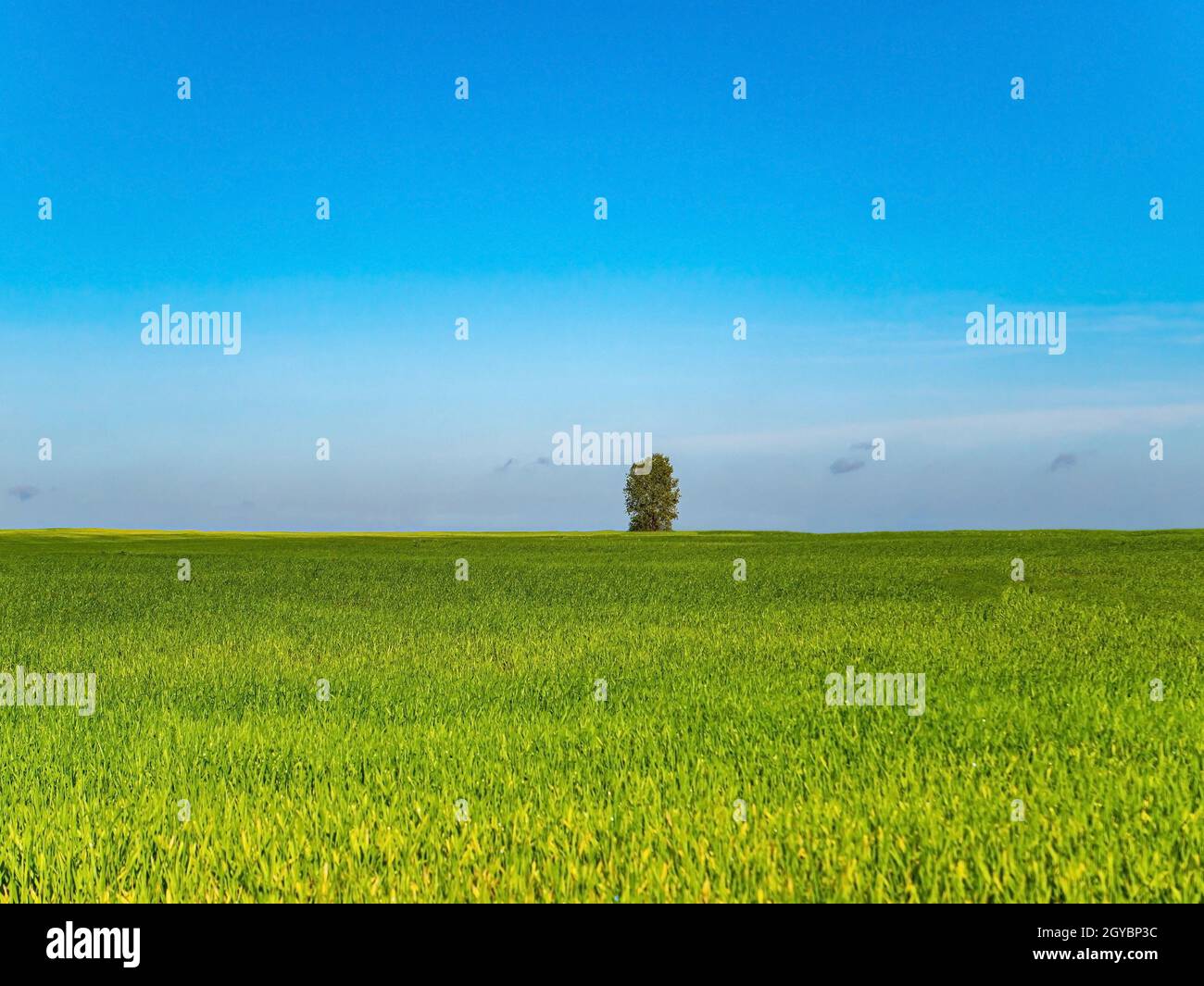 Lithuanian farming hi-res stock photography and images - Alamy