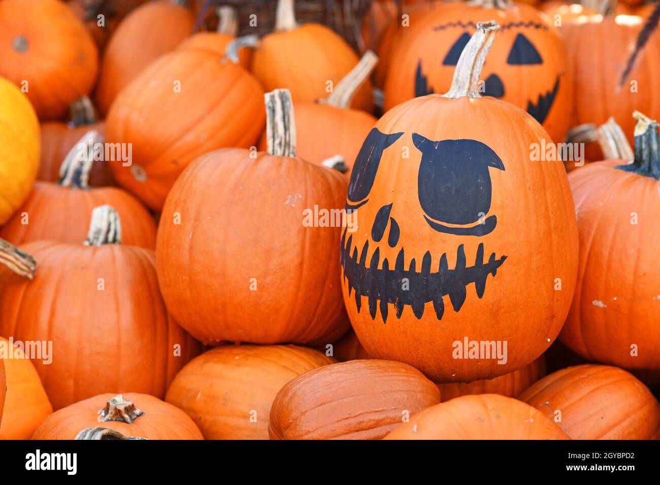 Pumpkin ghost rider hi-res stock photography and images - Alamy