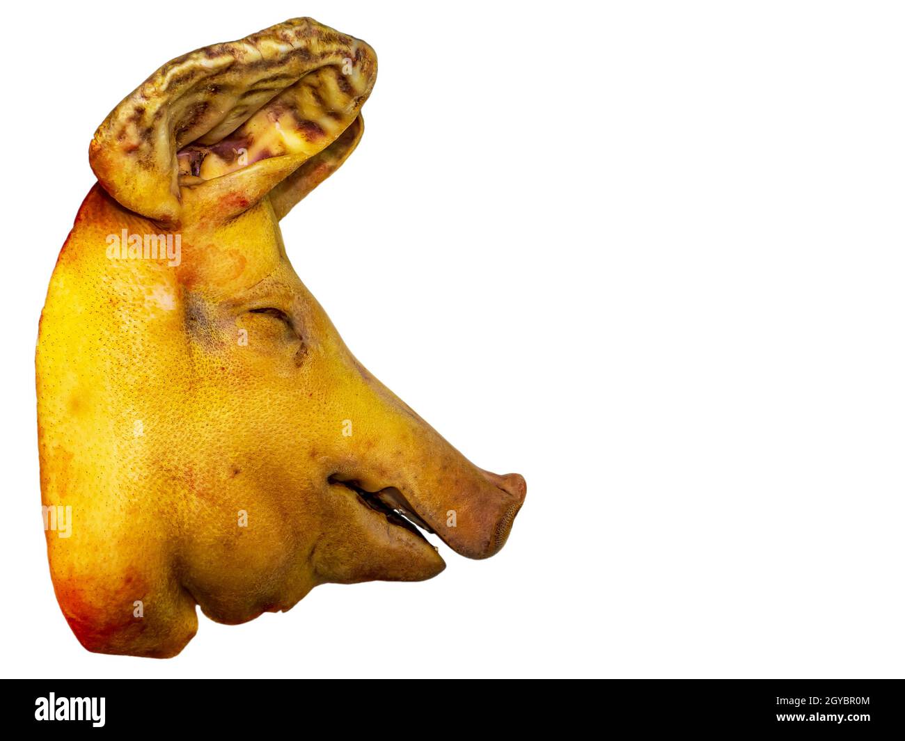 Pig meat head on a white background. Pork snout. Pork nickle. Butcher ...