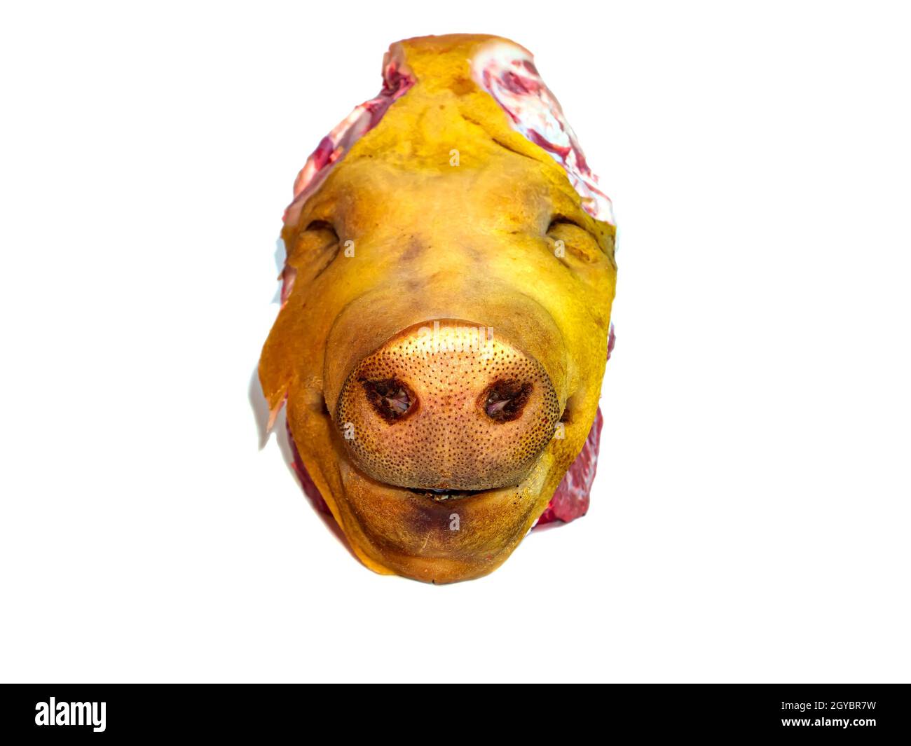 Pig meat head on a white background. Pork snout. Pork nickle. Butcher ...