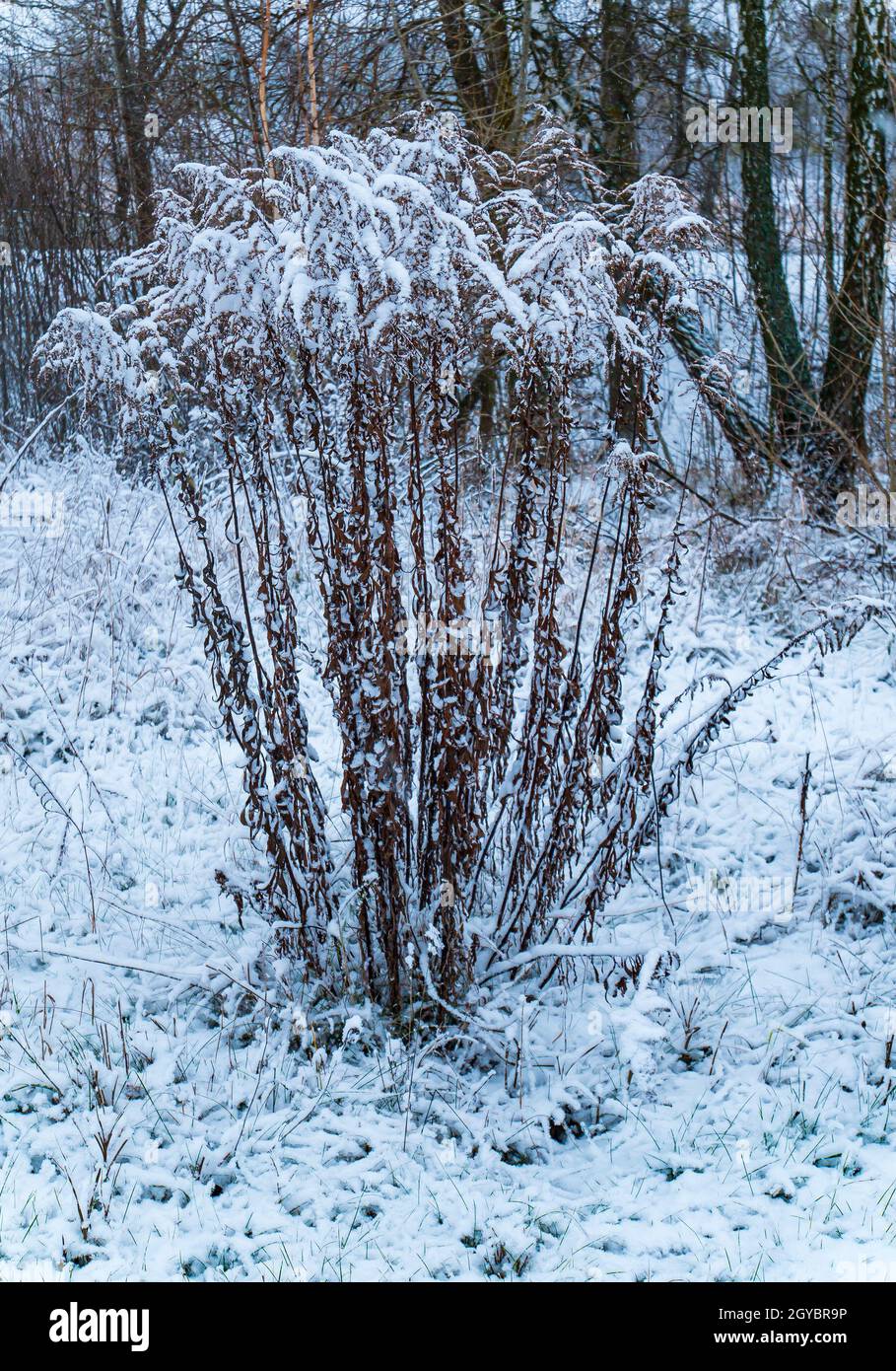 Weather forecast background hi-res stock photography and images - Alamy