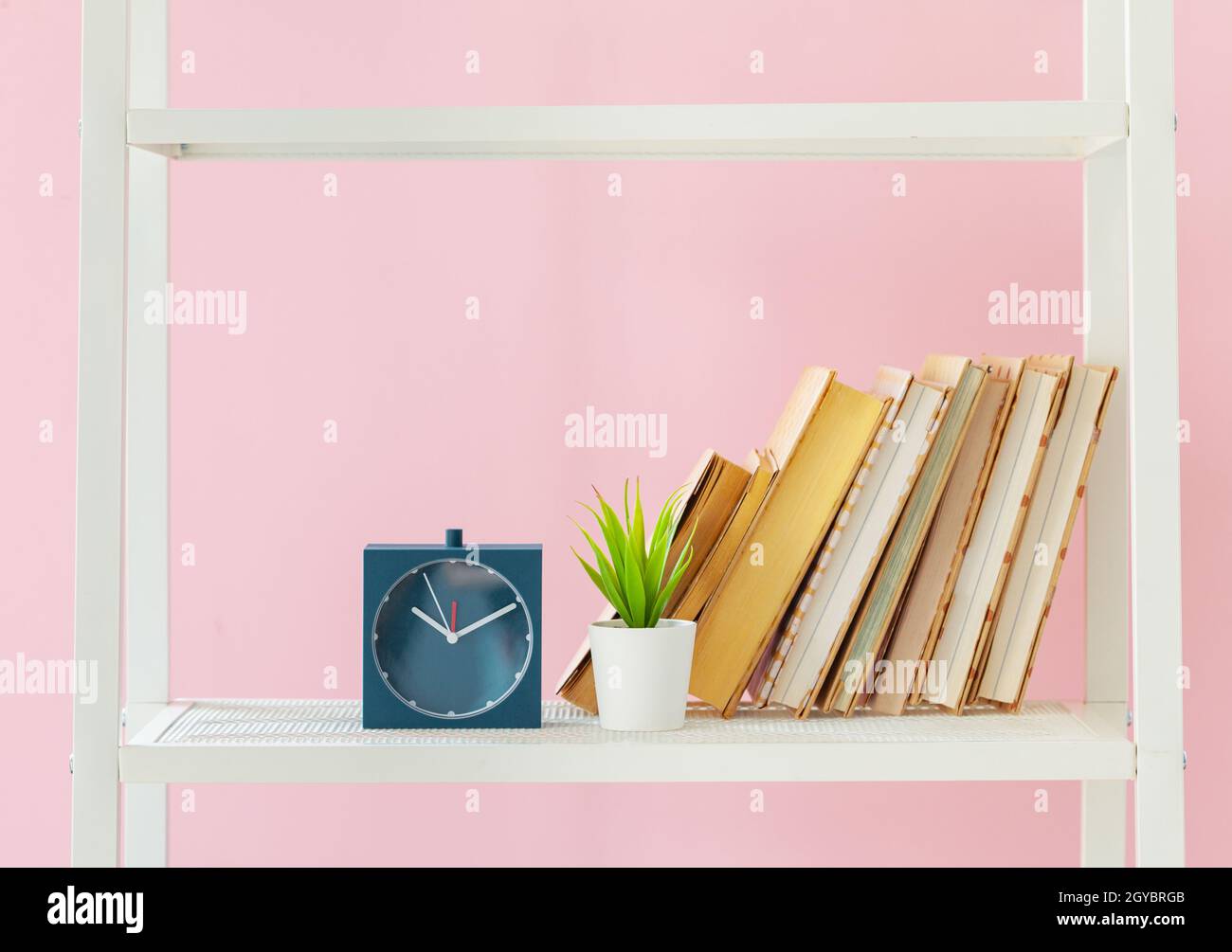 White bookshelf with books and plant against pink wall Stock Photo - Alamy