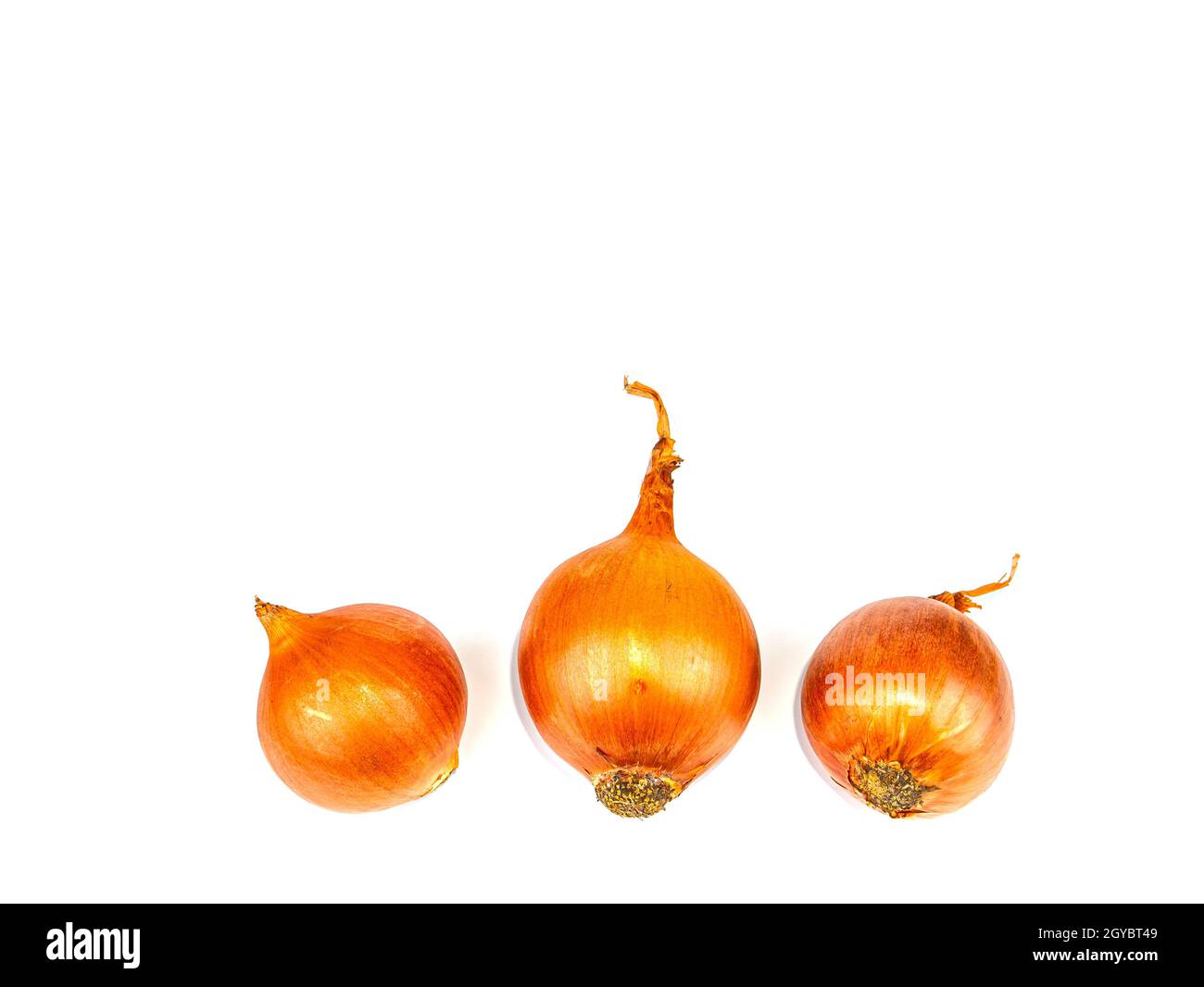 Vegetable onion golden color on a white background. Vegetable onion ...