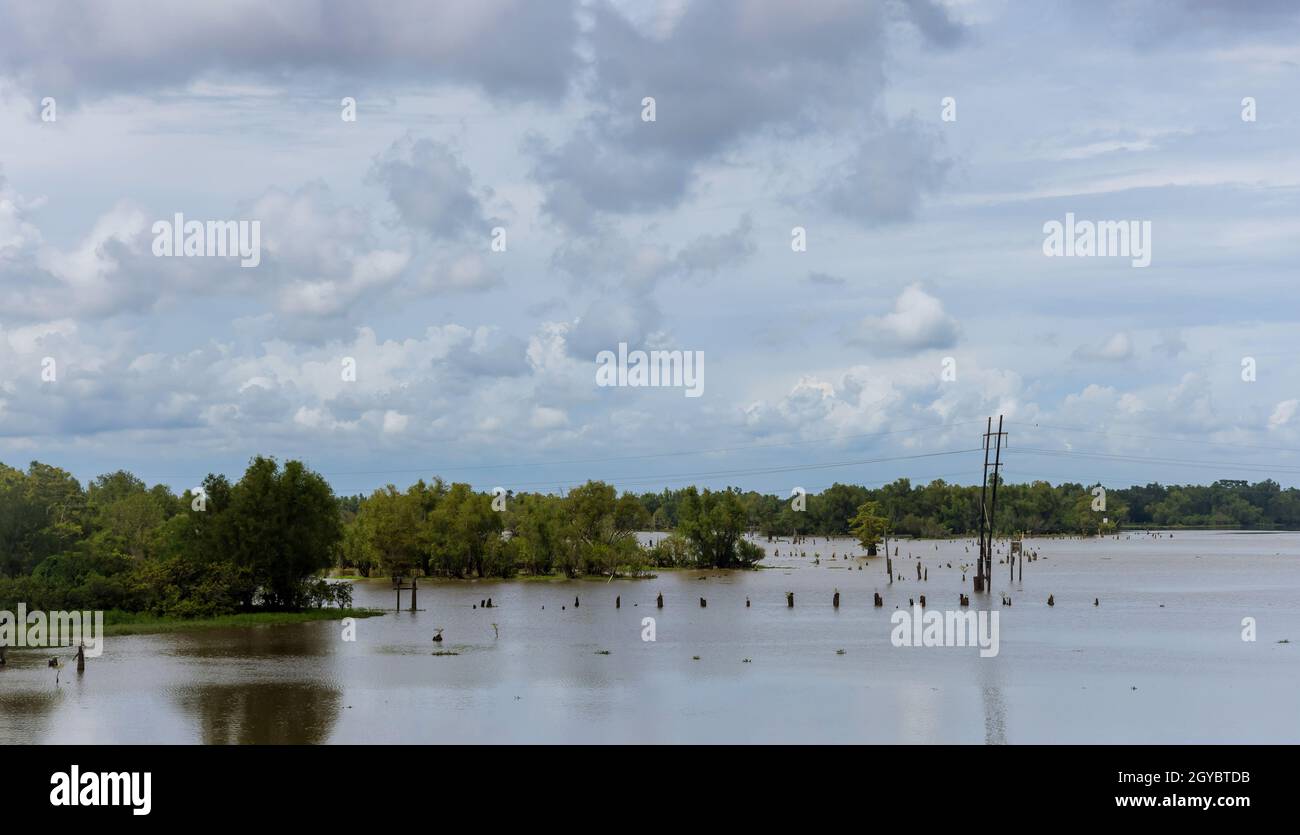 Flooded ecosystem hi-res stock photography and images - Alamy