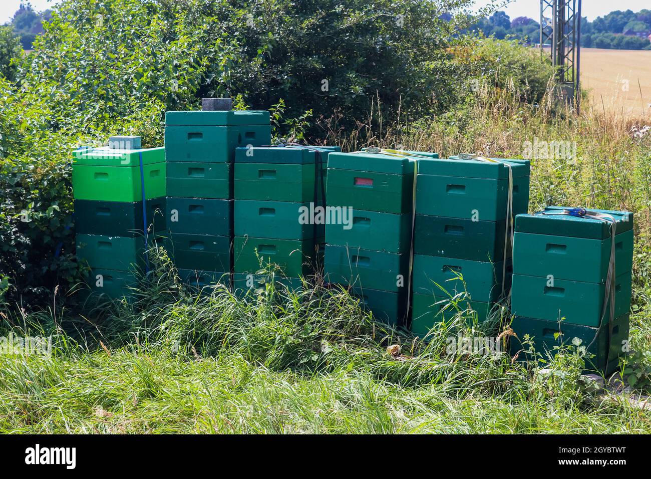 Honeybee boxes hi-res stock photography and images - Alamy
