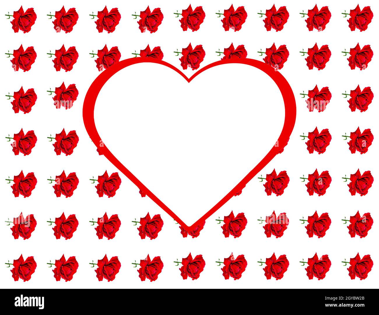 Heart symbol and red roses on a white background. Human heart. Red rose ...