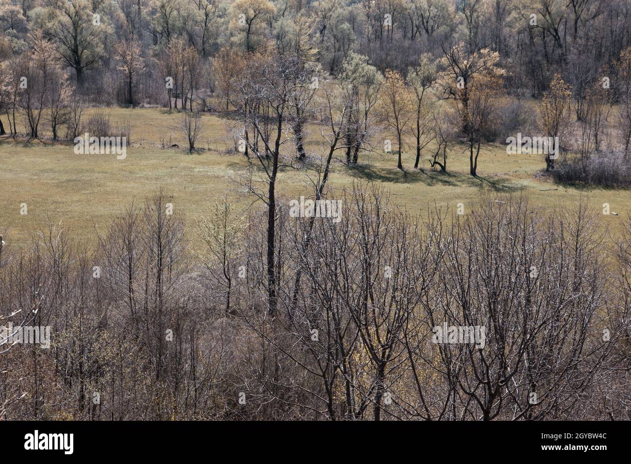Dreamy field on sunrise hi-res stock photography and images - Alamy