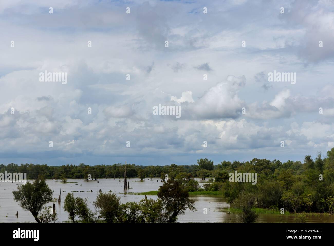 Flood on the flooding of meadows fields countryside Stock Photo - Alamy