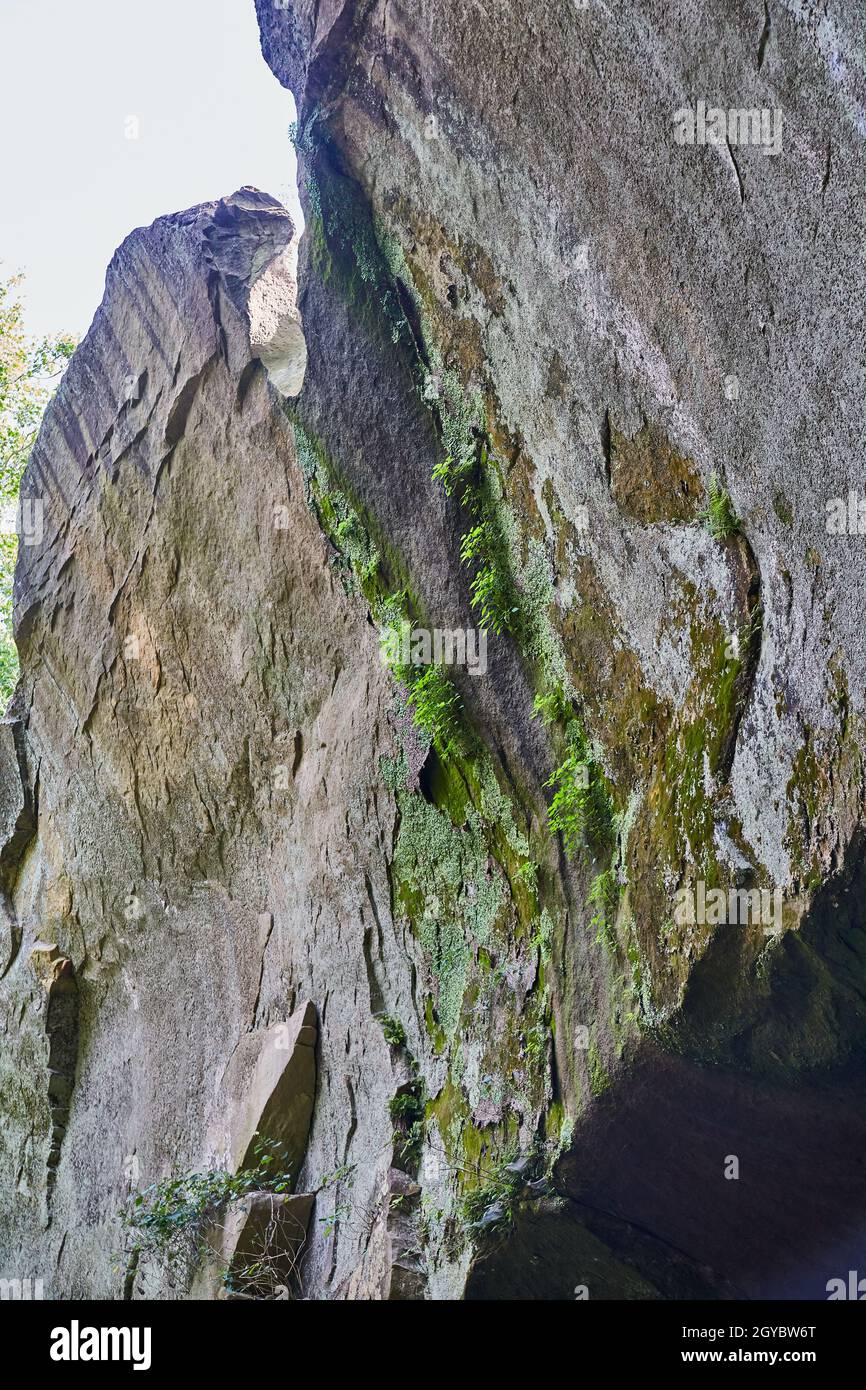 Cliff overhang with bits of moss and lichens growing on it Stock Photo ...