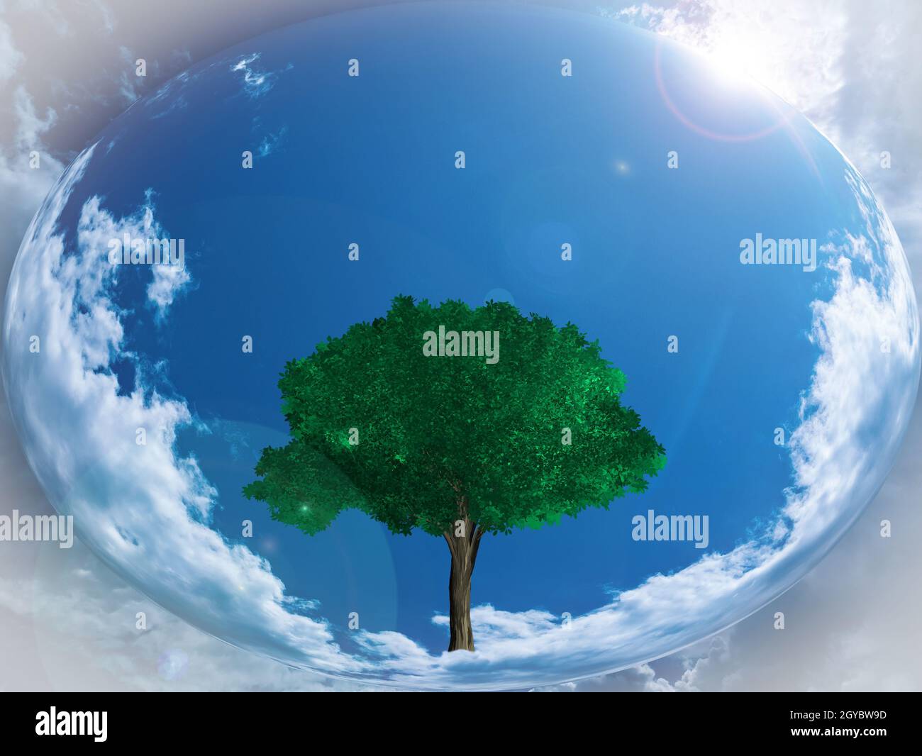 Illustration of a green tree in the celestial sphere. Green Tree. Blue ...
