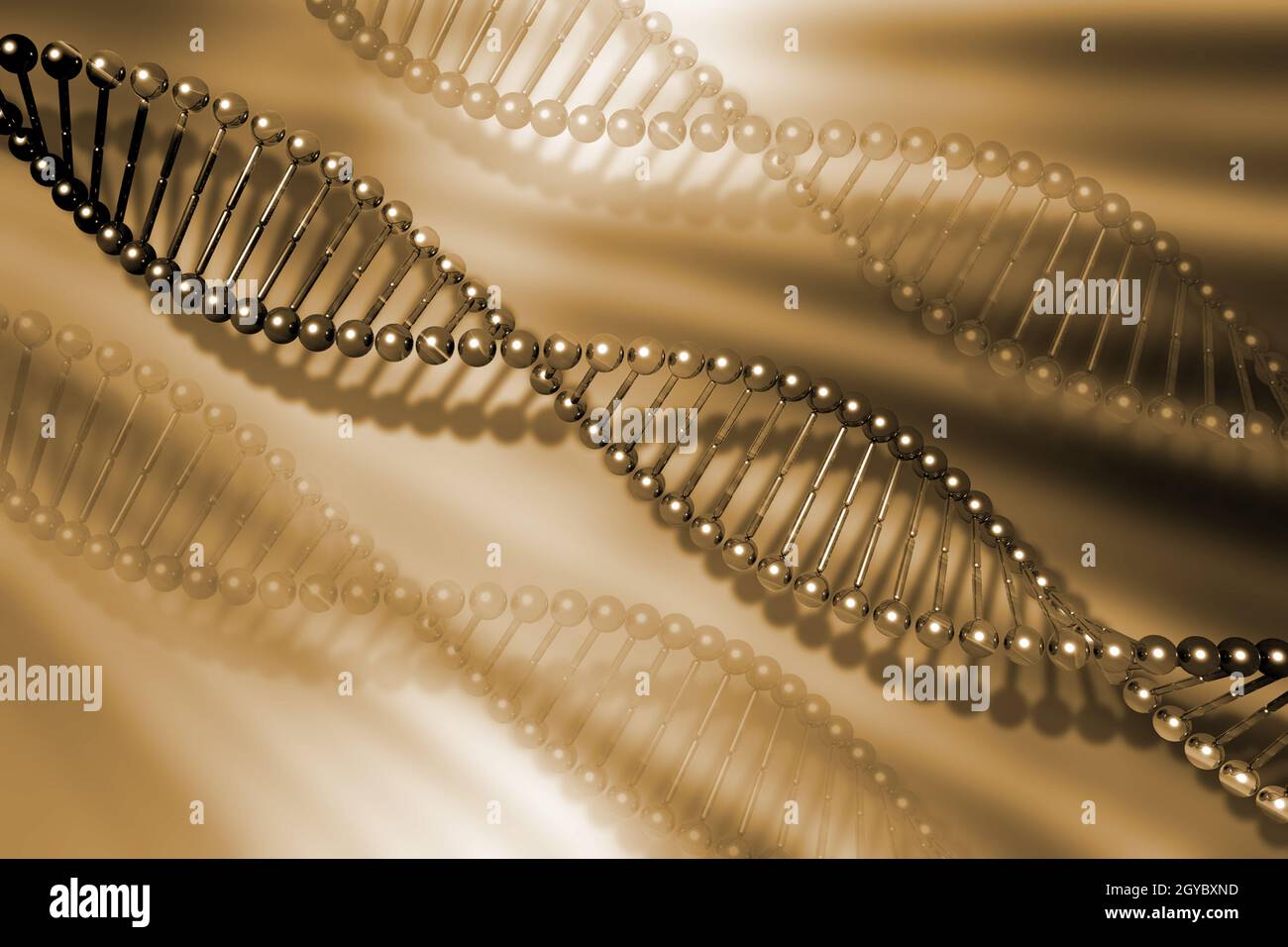 Strands on dna hi-res stock photography and images - Alamy