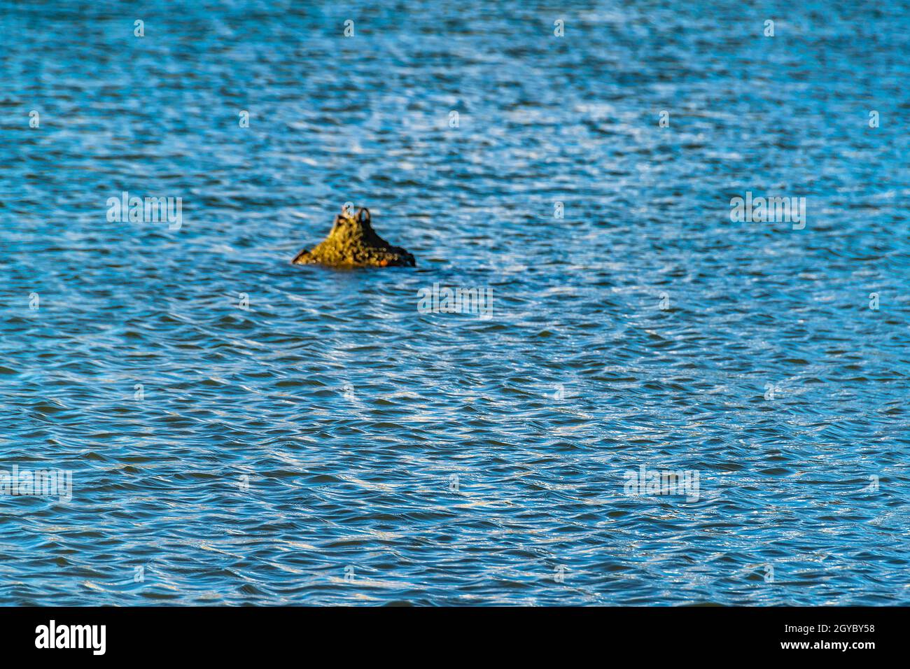 Iron buoy at river plate river, montevideo, uruguay Stock Photo - Alamy