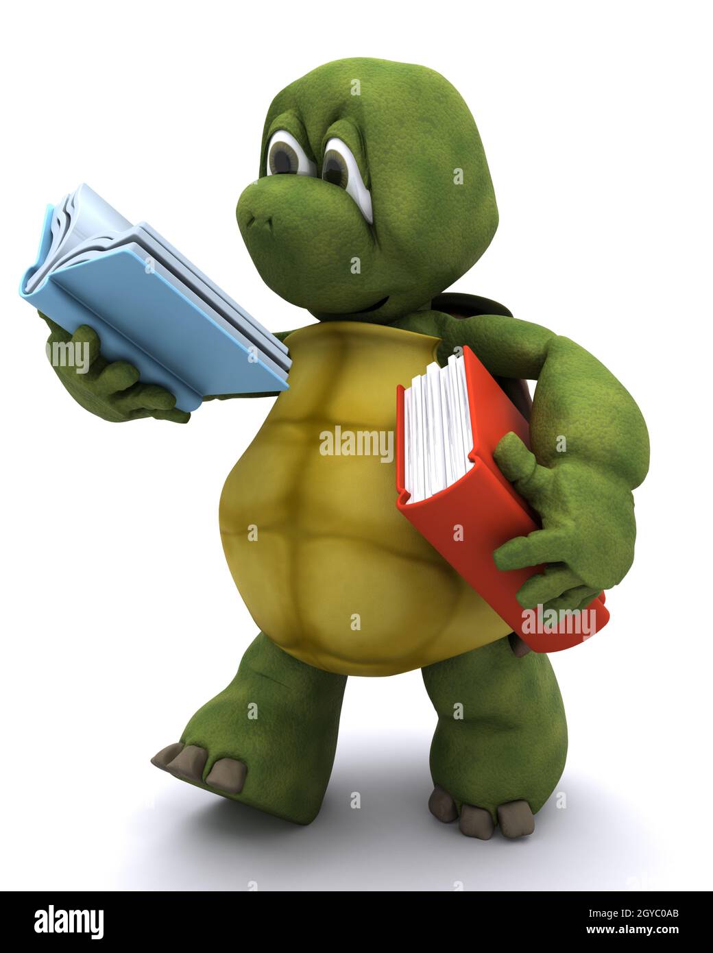 Turtle book cover hi-res stock photography and images - Alamy