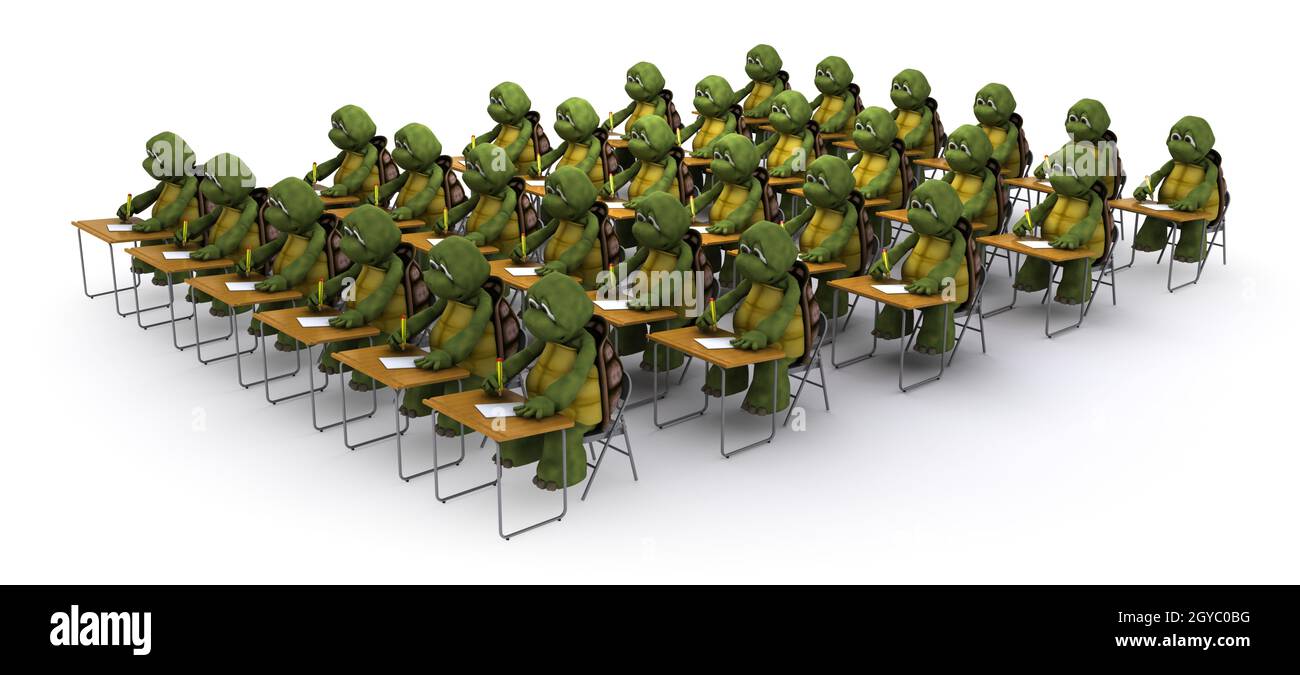 Animal sat at desk hi-res stock photography and images - Alamy