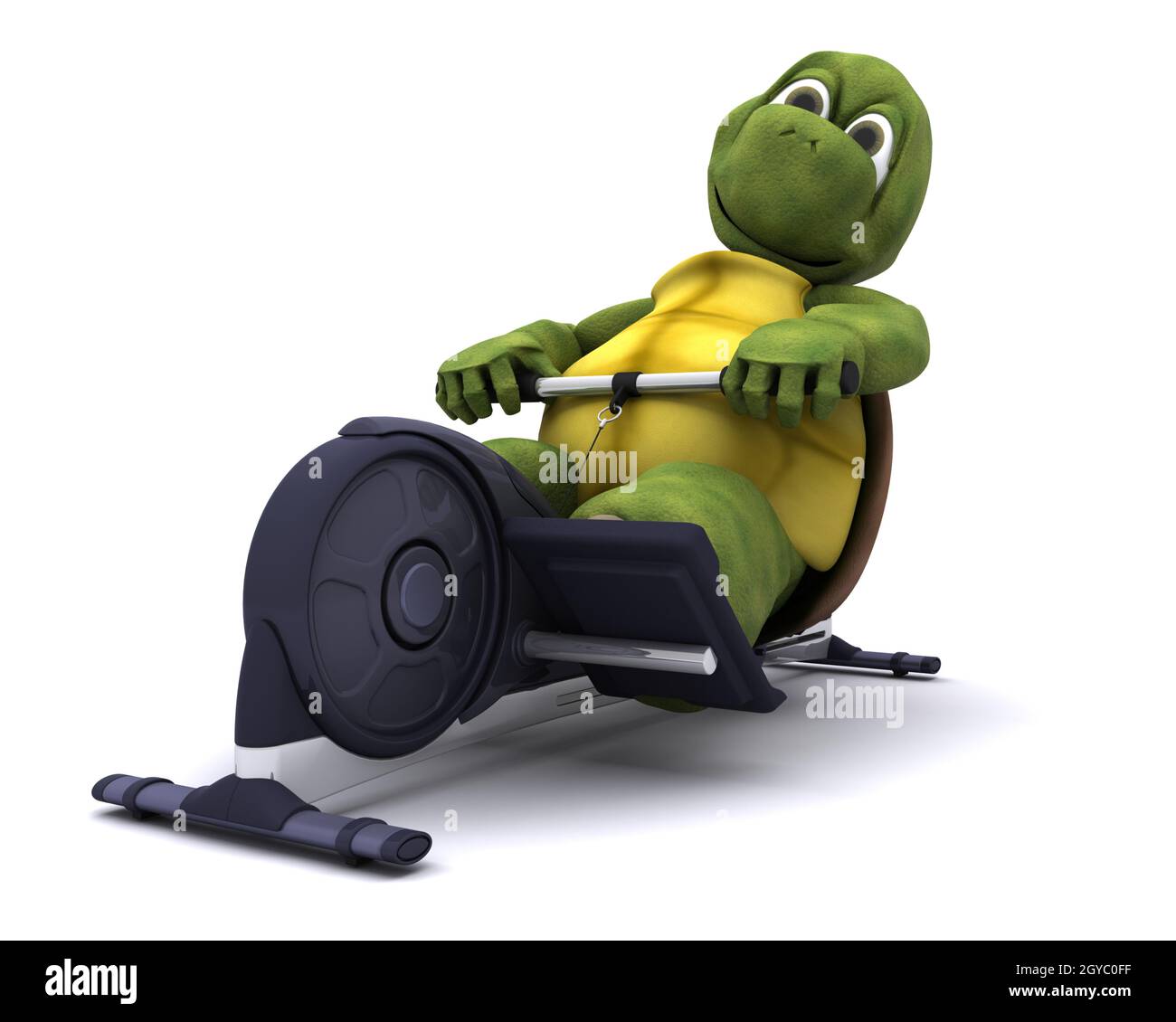 3d render of a tortoise training on a rowing machine Stock Photo - Alamy