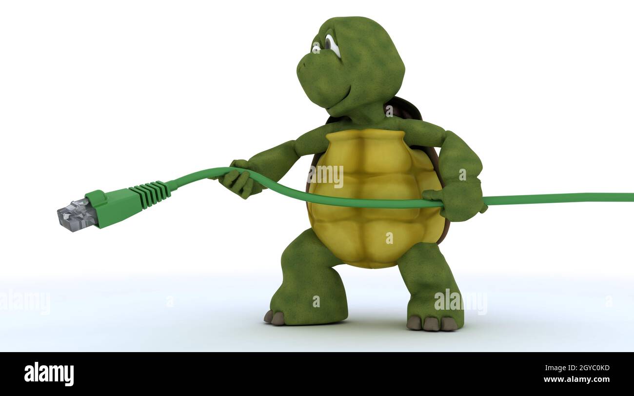3D render of a tortoise with RJ45 cable Stock Photo - Alamy