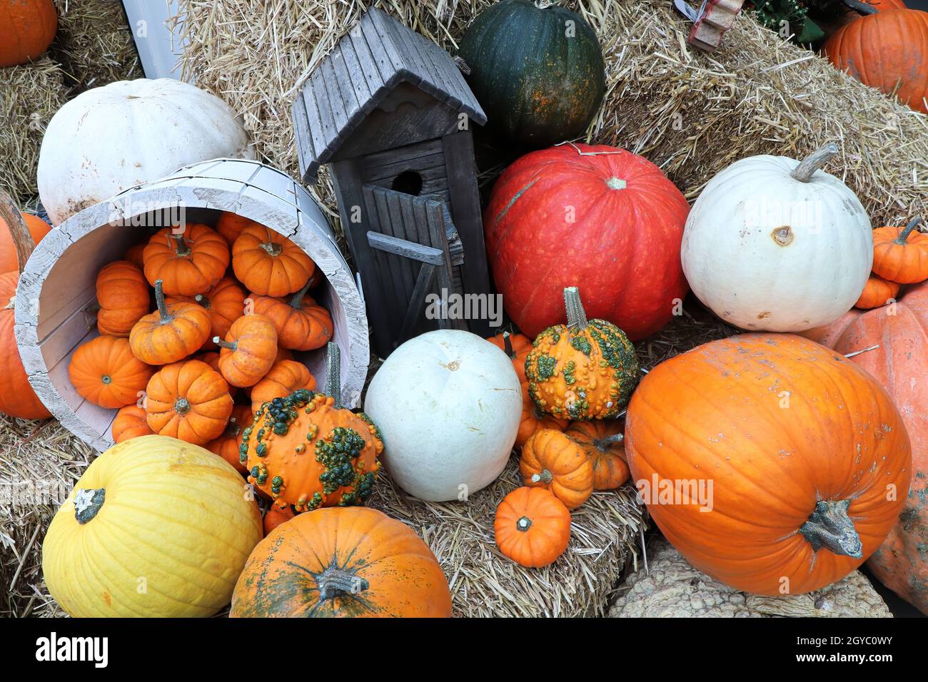 Colorful rustic fall display hi-res stock photography and images - Alamy