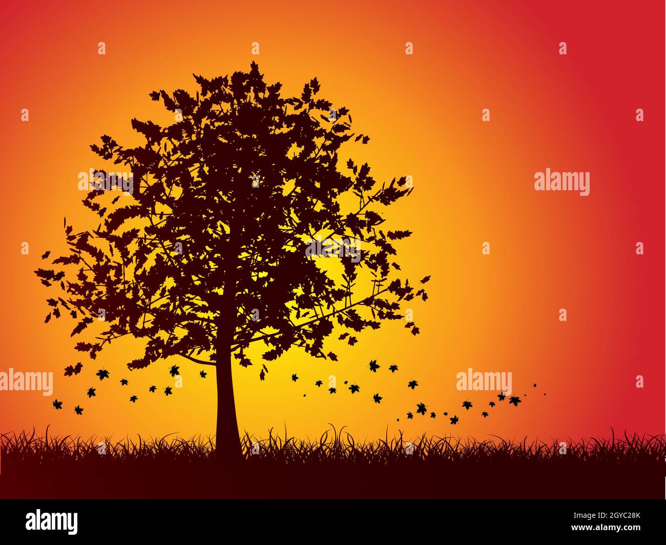 Tree silhouette and leaves falling hi-res stock photography and images ...