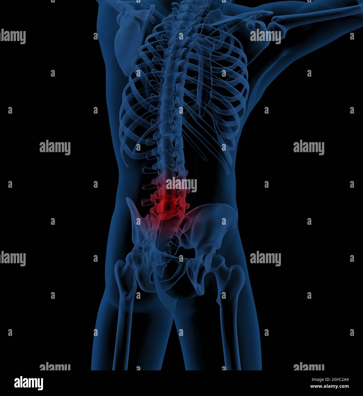 3D render of a medical skeleton illustrating back pain Stock Photo - Alamy