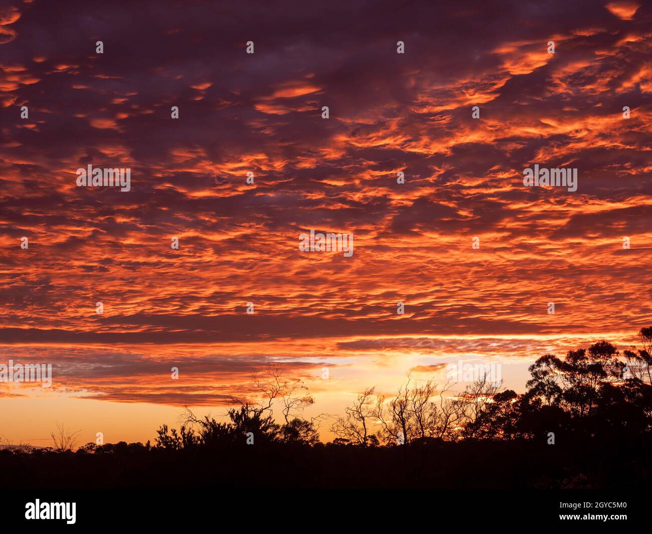 Australian sunrise red hi-res stock photography and images - Alamy