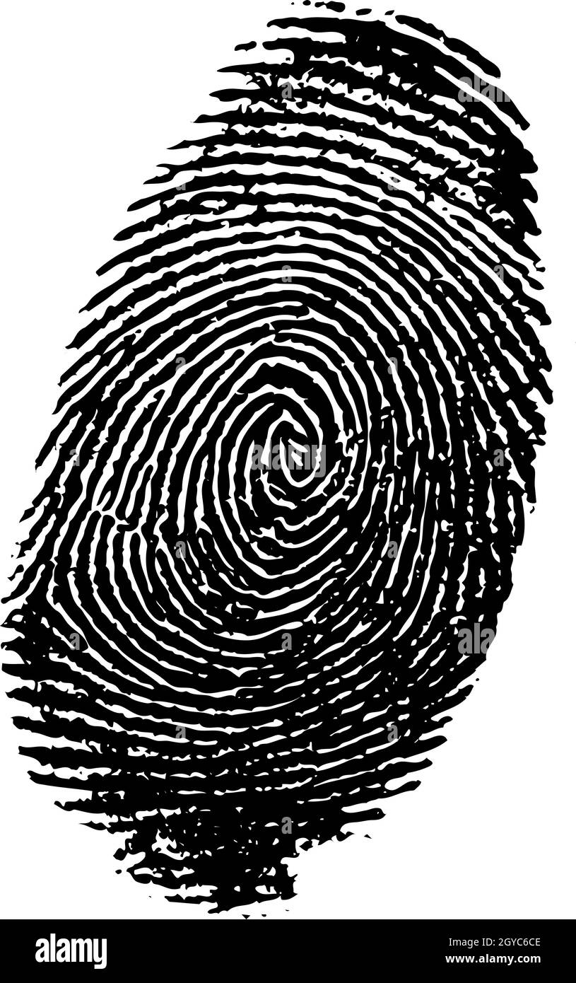 Fingerprint vector hi-res stock photography and images - Alamy