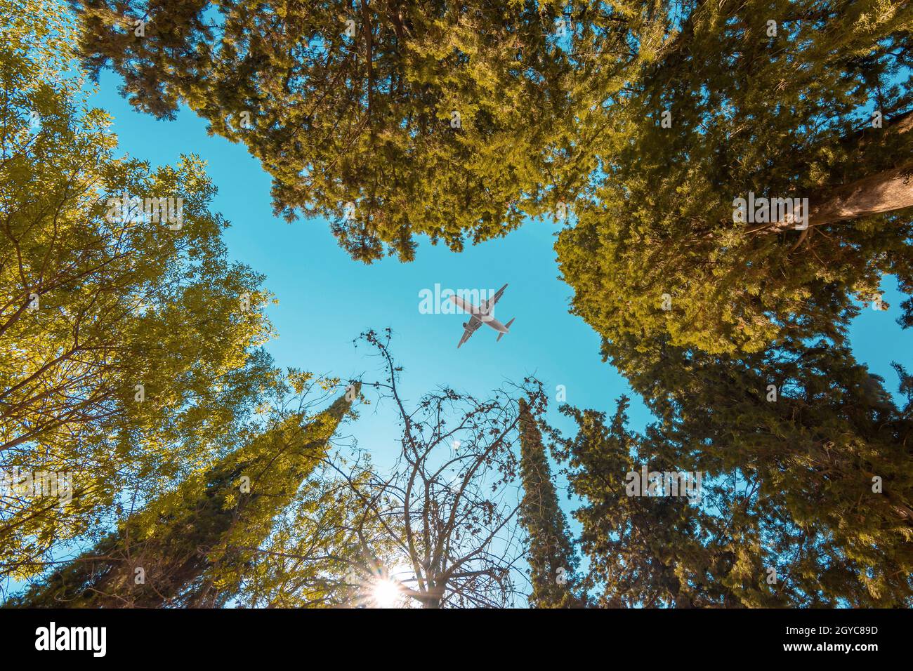 Airplane flying above forest hi-res stock photography and images - Alamy