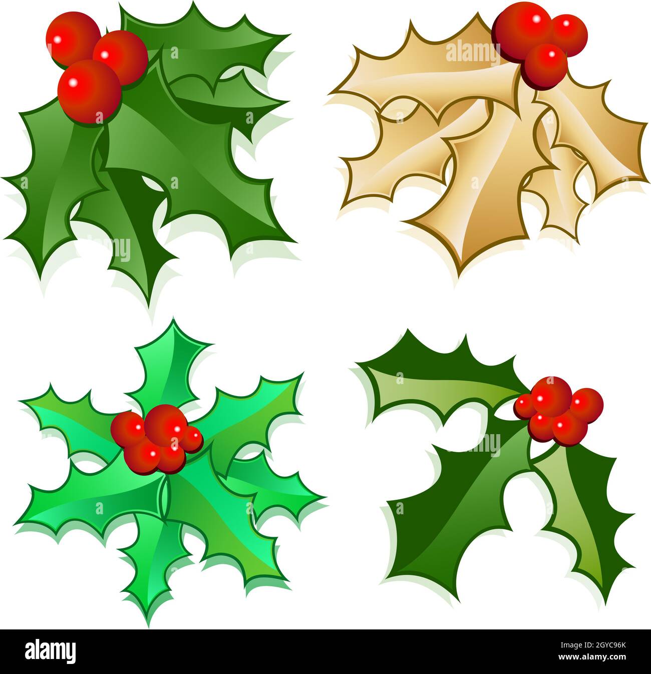 Holly leaves and berries Stock Photo - Alamy