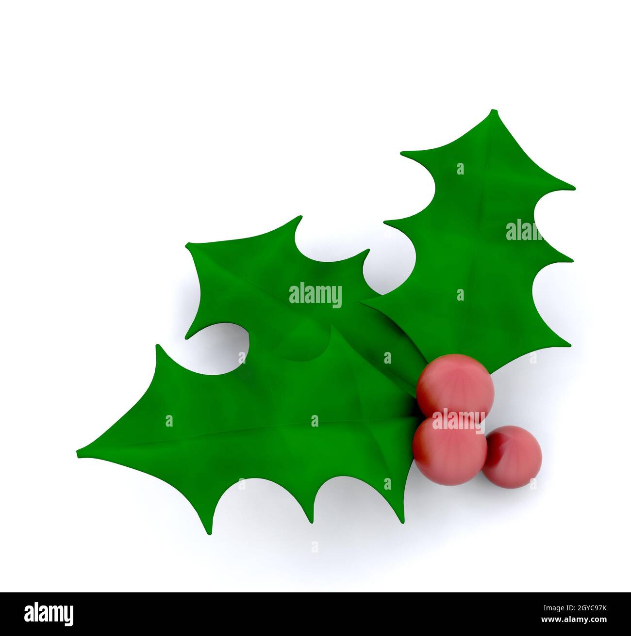 3D render of holly and berries Stock Photo - Alamy