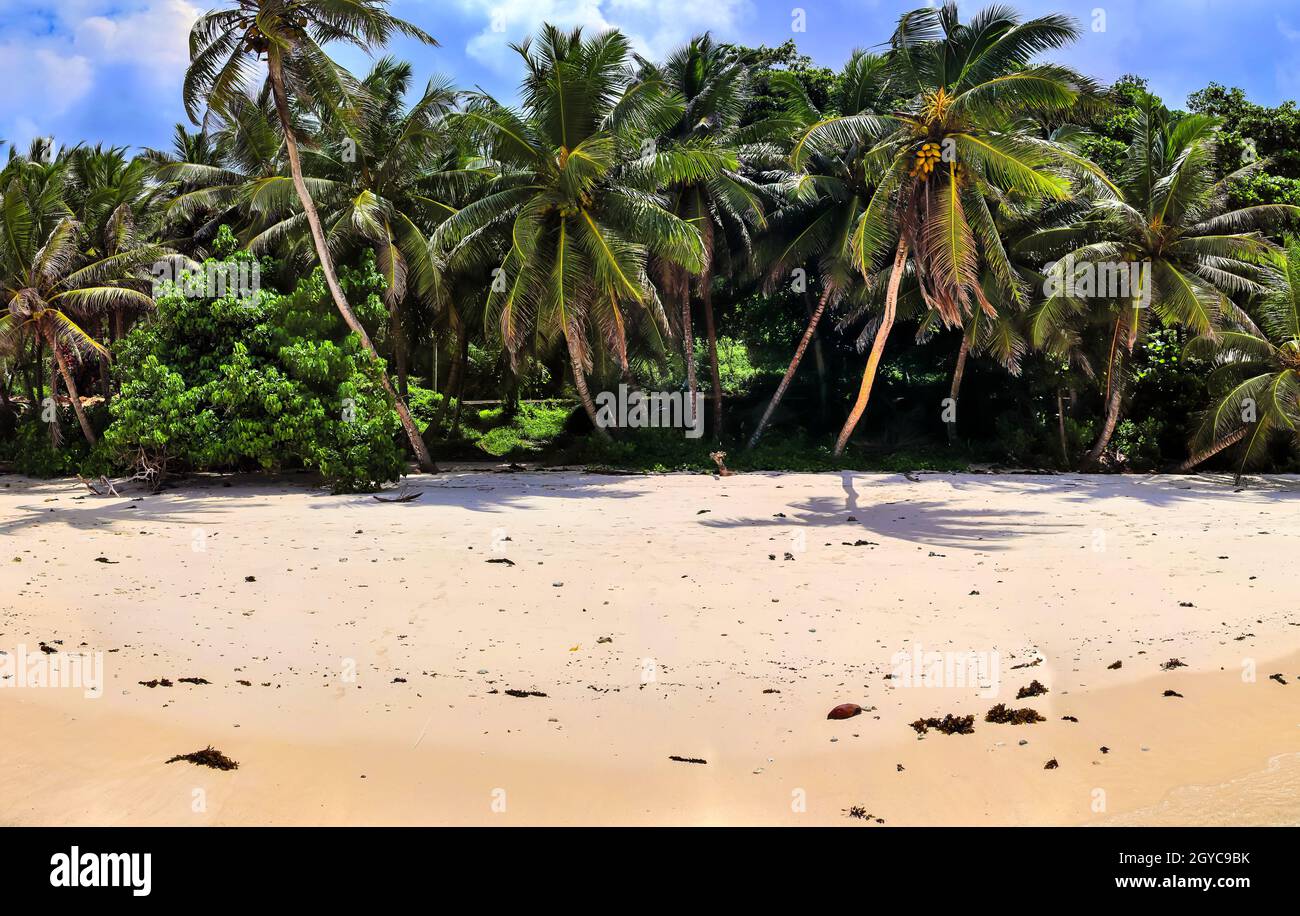Stunning high resolution beach panorama taken on the paradise islands ...