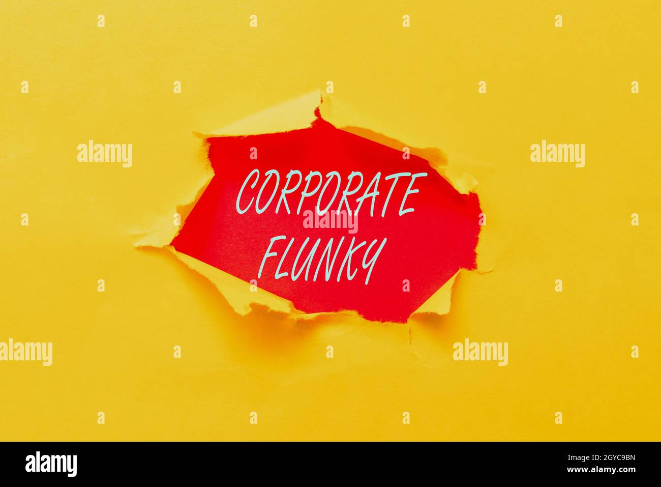 Inspiration showing sign Corporate Flunky, Internet Concept someone who ...
