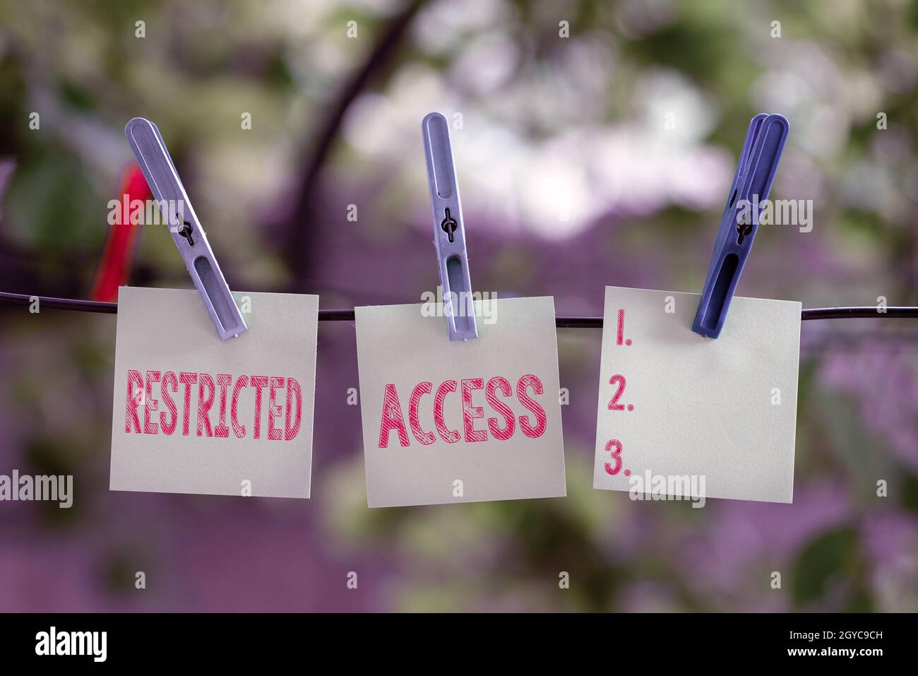 Conceptual caption Restricted Access, Internet Concept A class of ...