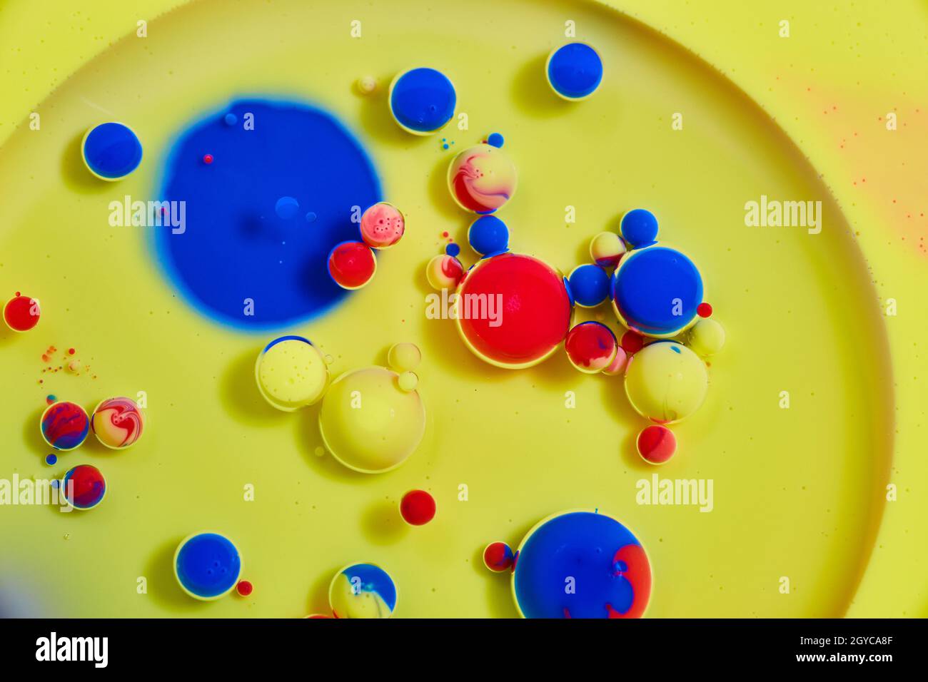 Tiny red, blue, and yellow balls floating on yellow surface Stock Photo ...