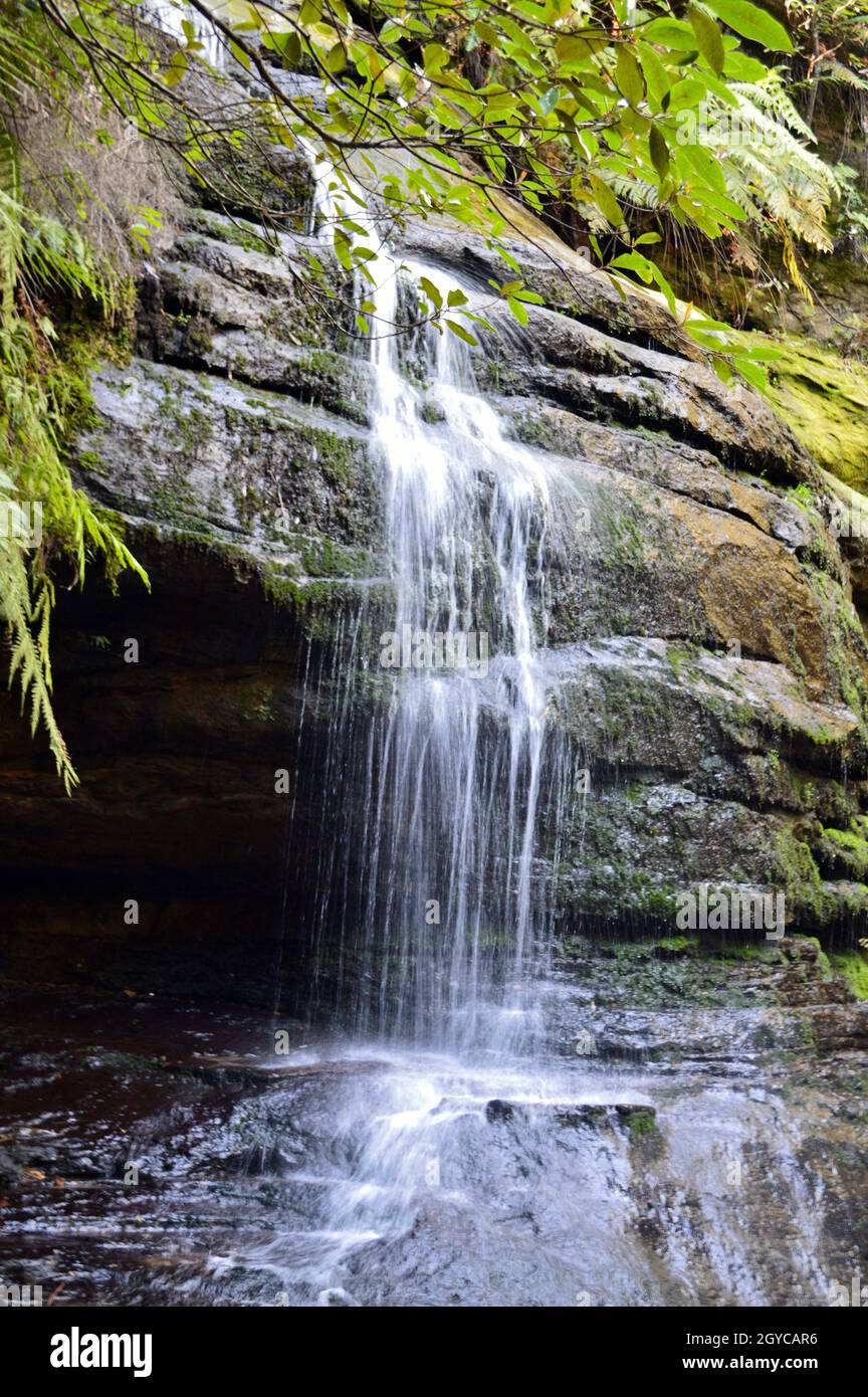 Vertical shot of a waterfall at the Pool of Siloam at Leura in the Blue ...